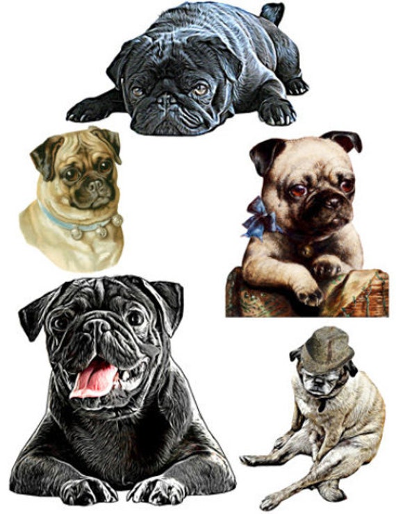 Modern and Vintage Pug Dogs Images Puppies Printable | Etsy