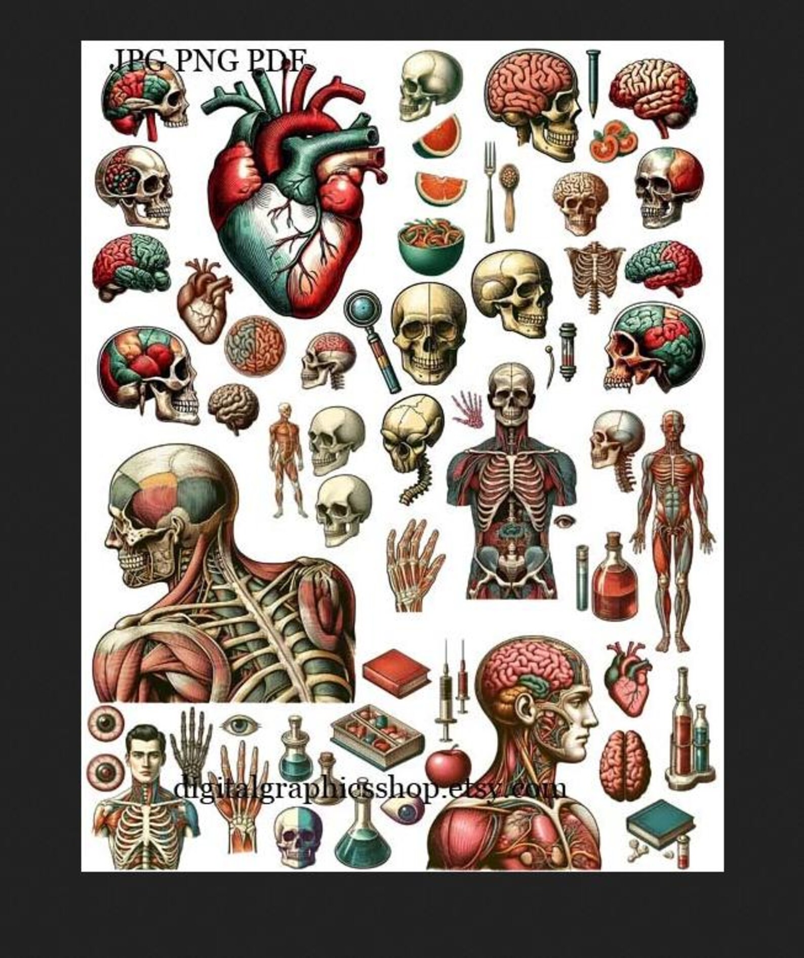 Human Anatomy Body Parts Clipart Printable Wall Art Ink Drawings ...