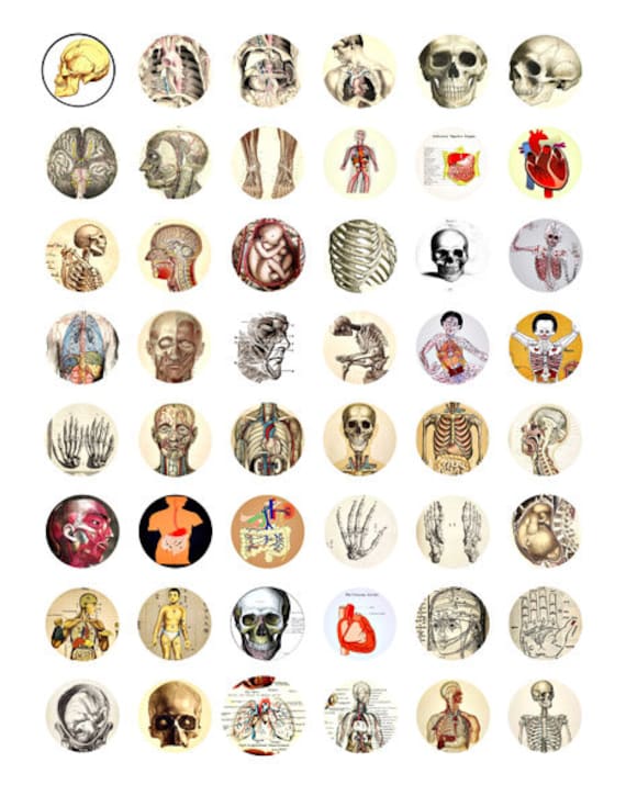 skeletons skulls digital print instant download vintage printables ...