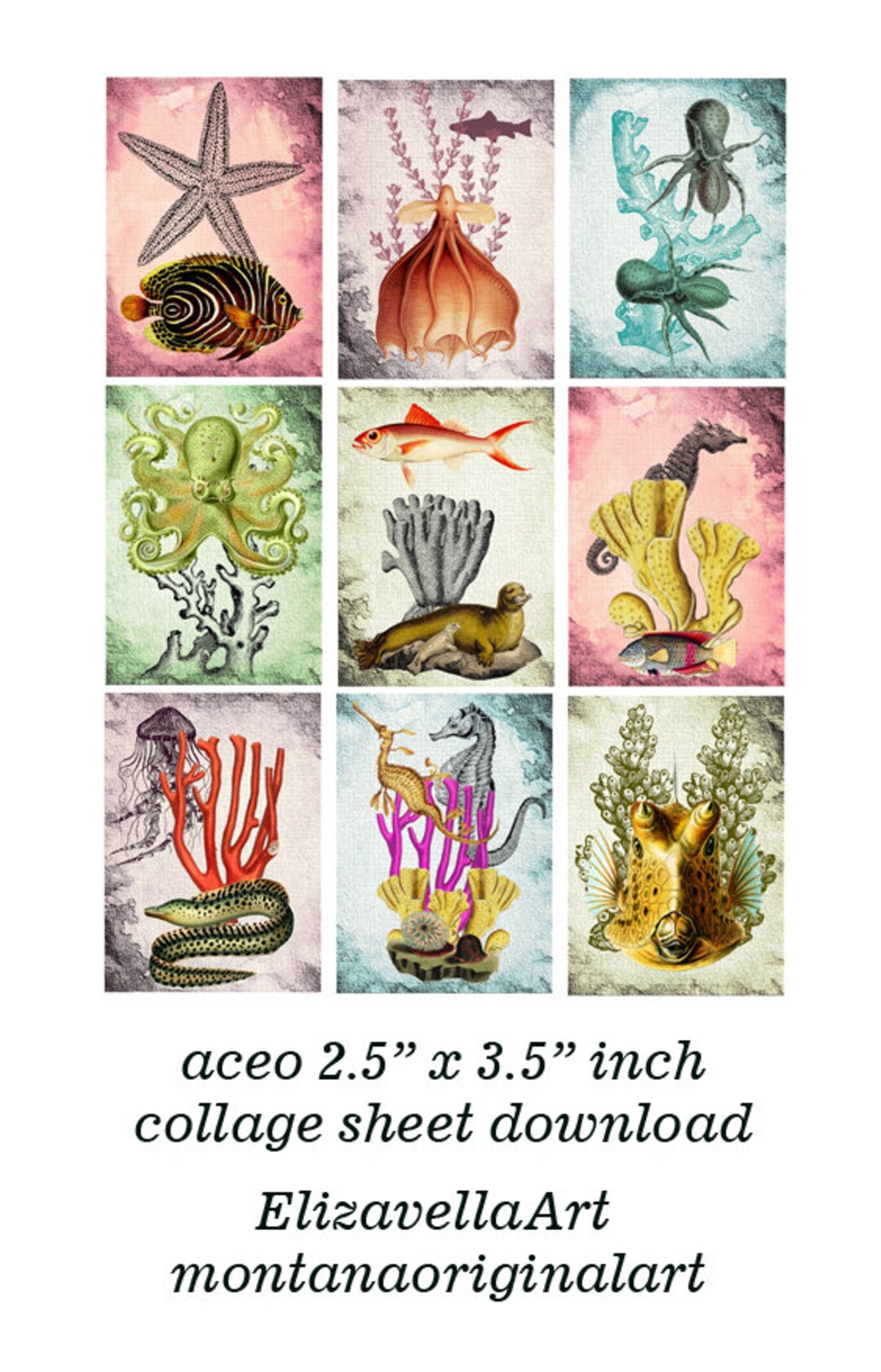Printable Collage Sheet Sealife Ocean Animals Art 2.5 X 3.5 Inch Aceo ...