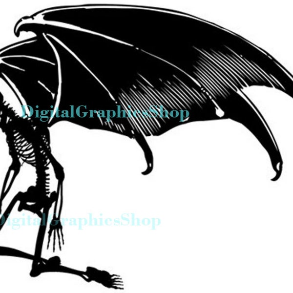 Angel Skeleton - Etsy