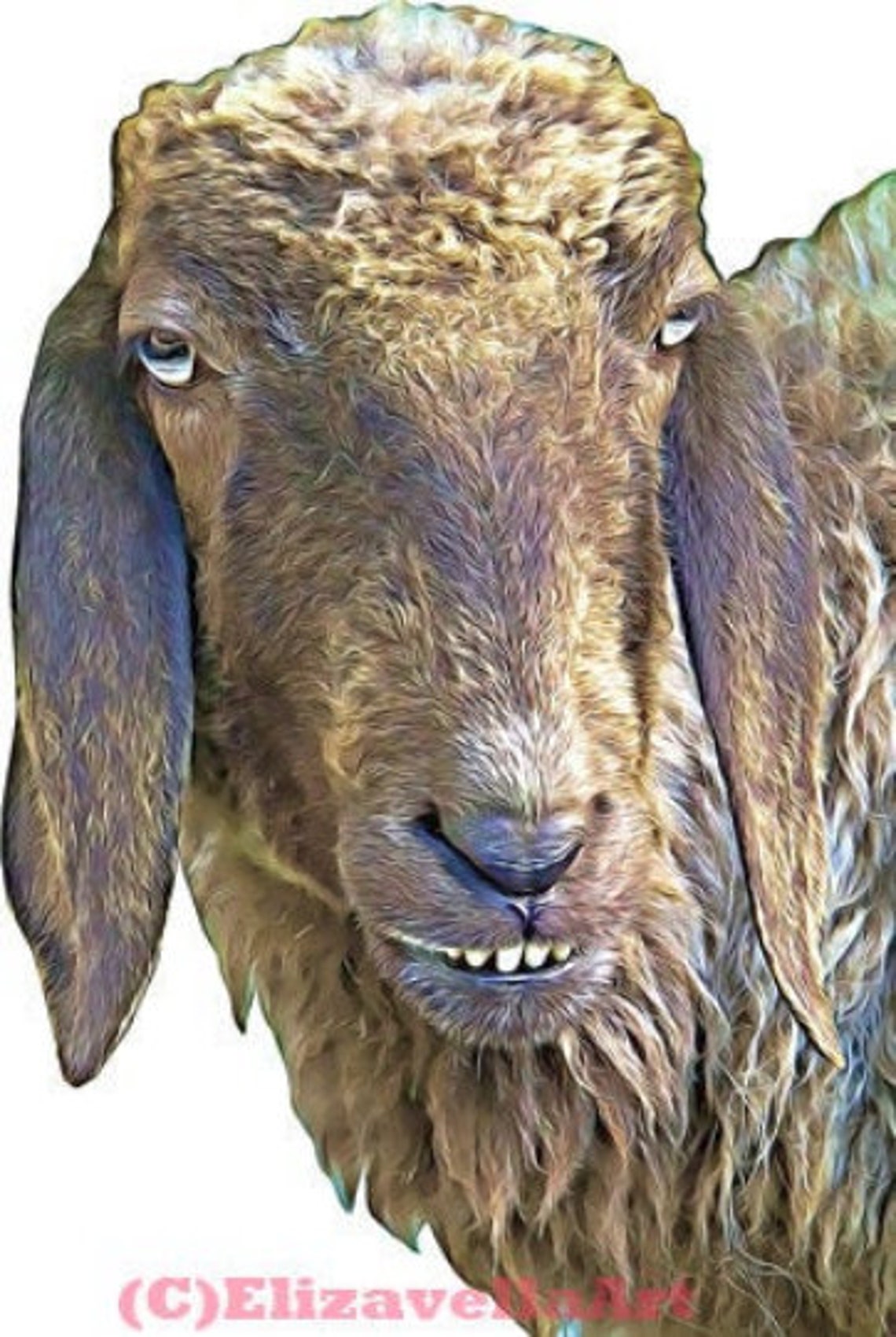 Goofy Silly Sheep Face Png Jpg Clipart Printable Art Digital - Etsy UK