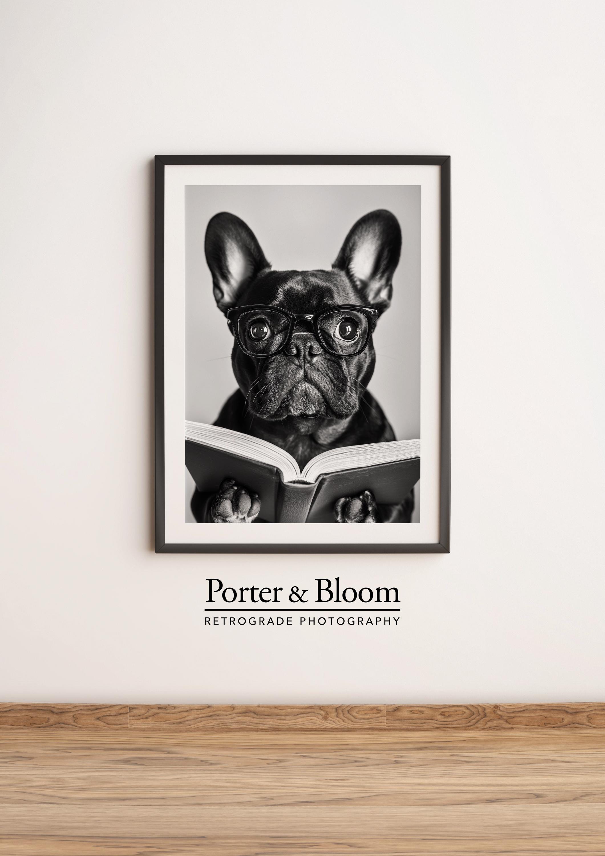 French Bulldog Reading Book Wall Art, Black & White Print, Dog Lover ...