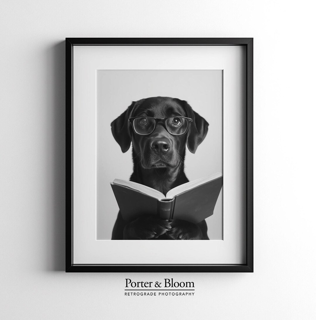 Labrador Reading Book Poster, Black & White Print, Dog Lover Photo Gift ...