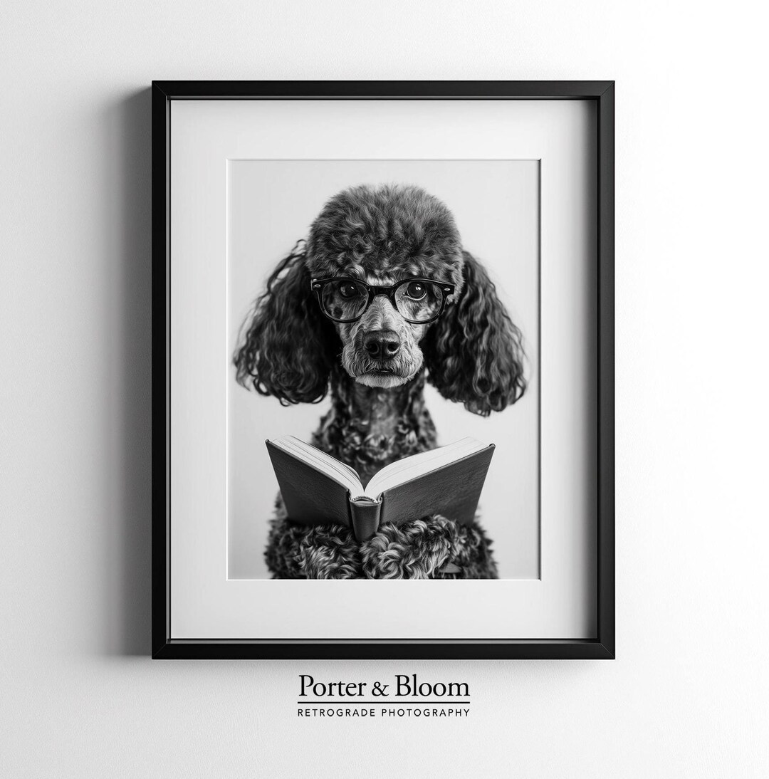 Poodle Reading Book Photo, Black & White Print, Dog Lover Poster Gift ...