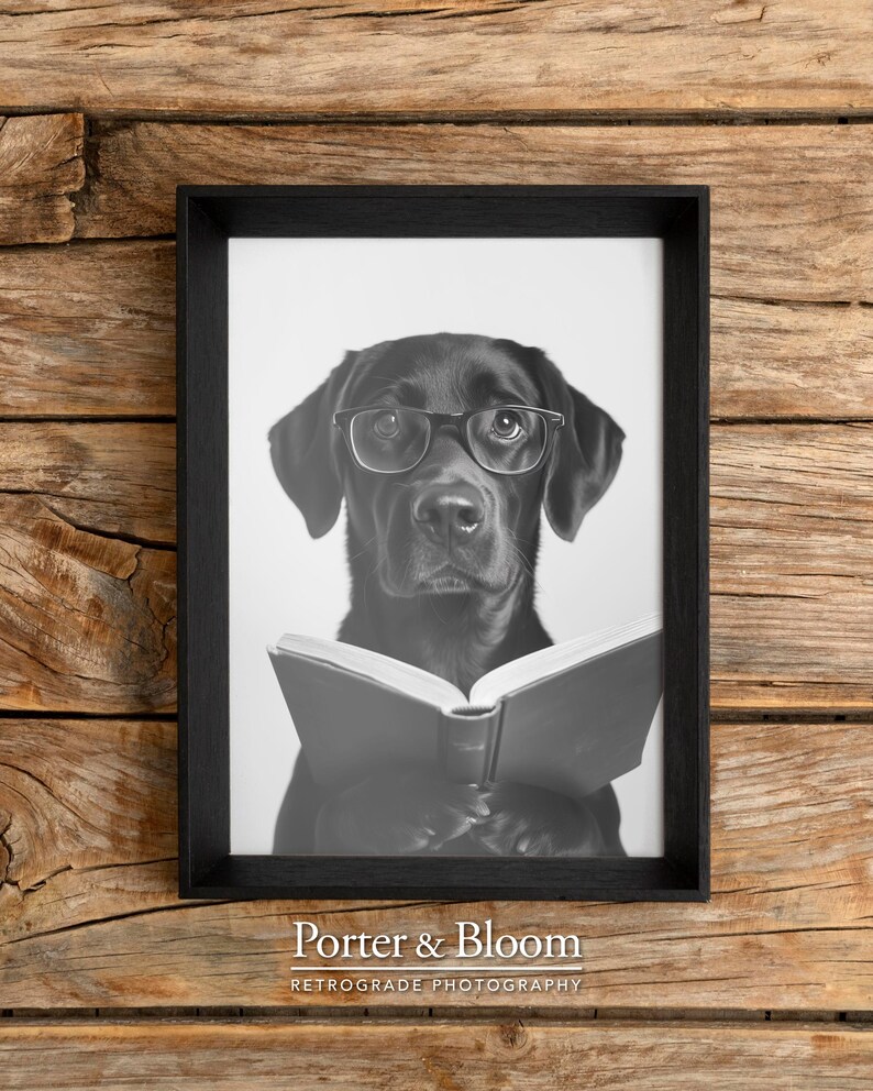 Labrador Reading Book Poster, Black & White Print, Dog Lover Photo Gift ...