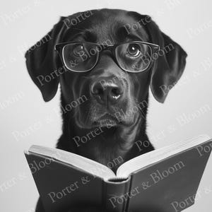 Labrador Reading Book Poster, Black & White Print, Dog Lover Photo Gift ...