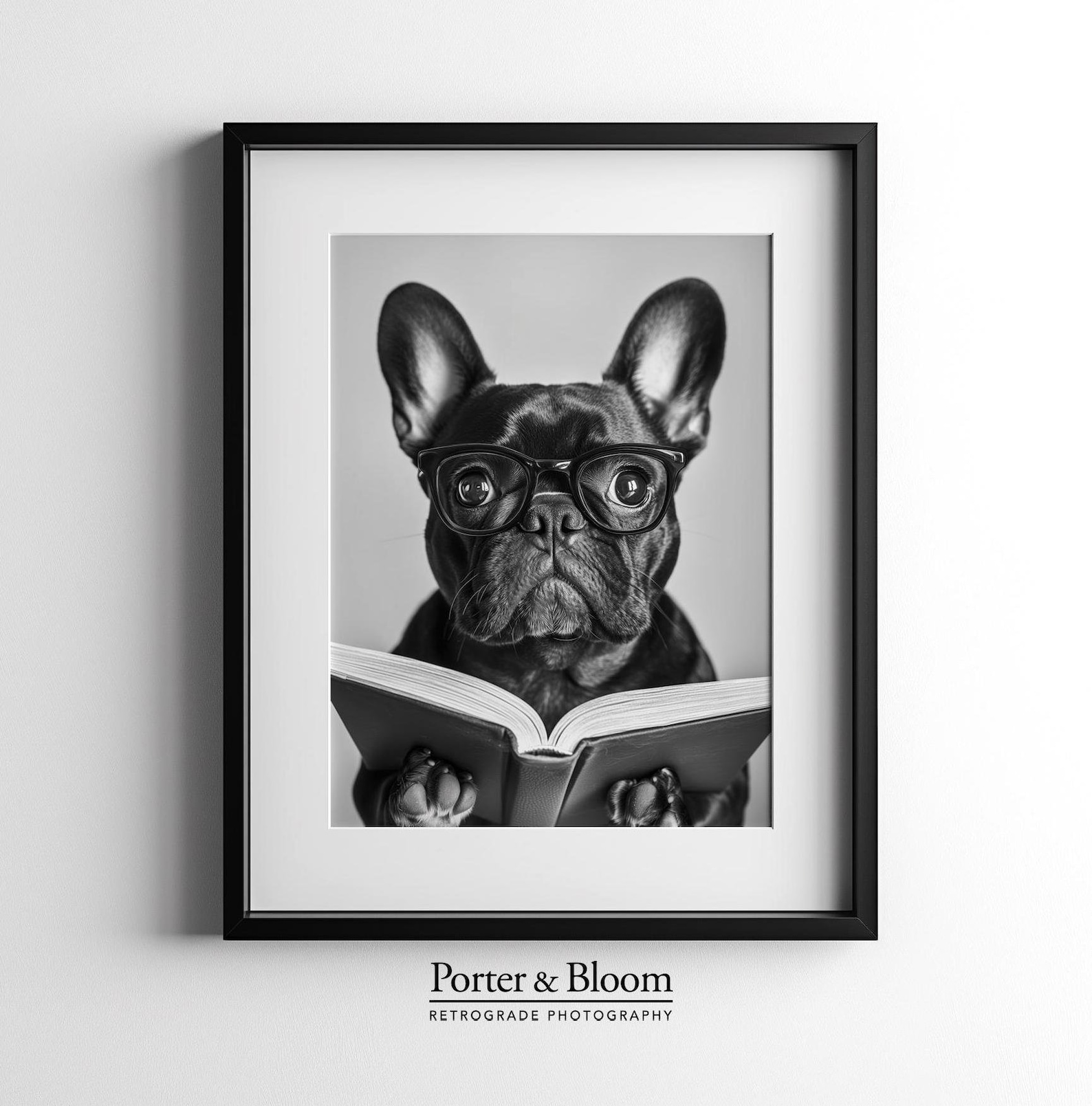 French Bulldog Reading Book Wall Art, Black & White Print, Dog Lover ...