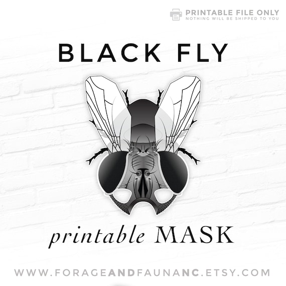 Fly Template Printable