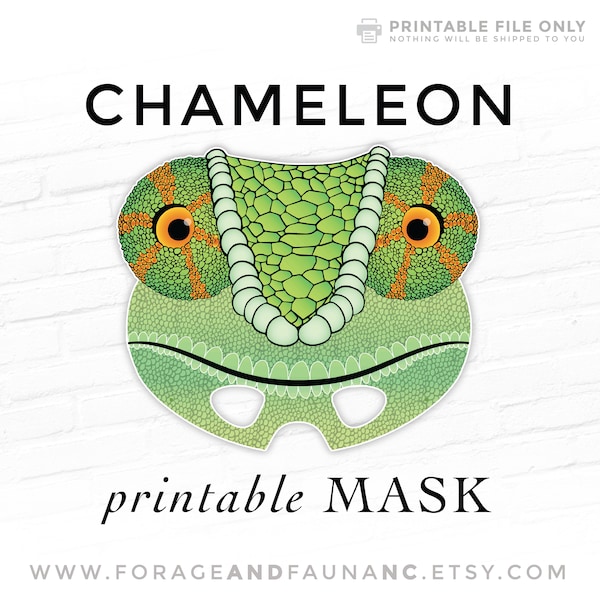 Chameleon Lizard - Etsy