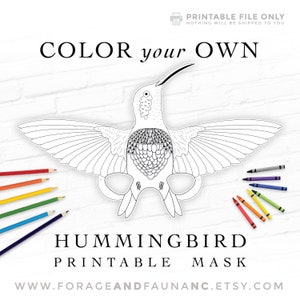Coloring Book Fun Activity Hummingbird Mask Printable Violetear Bird ...