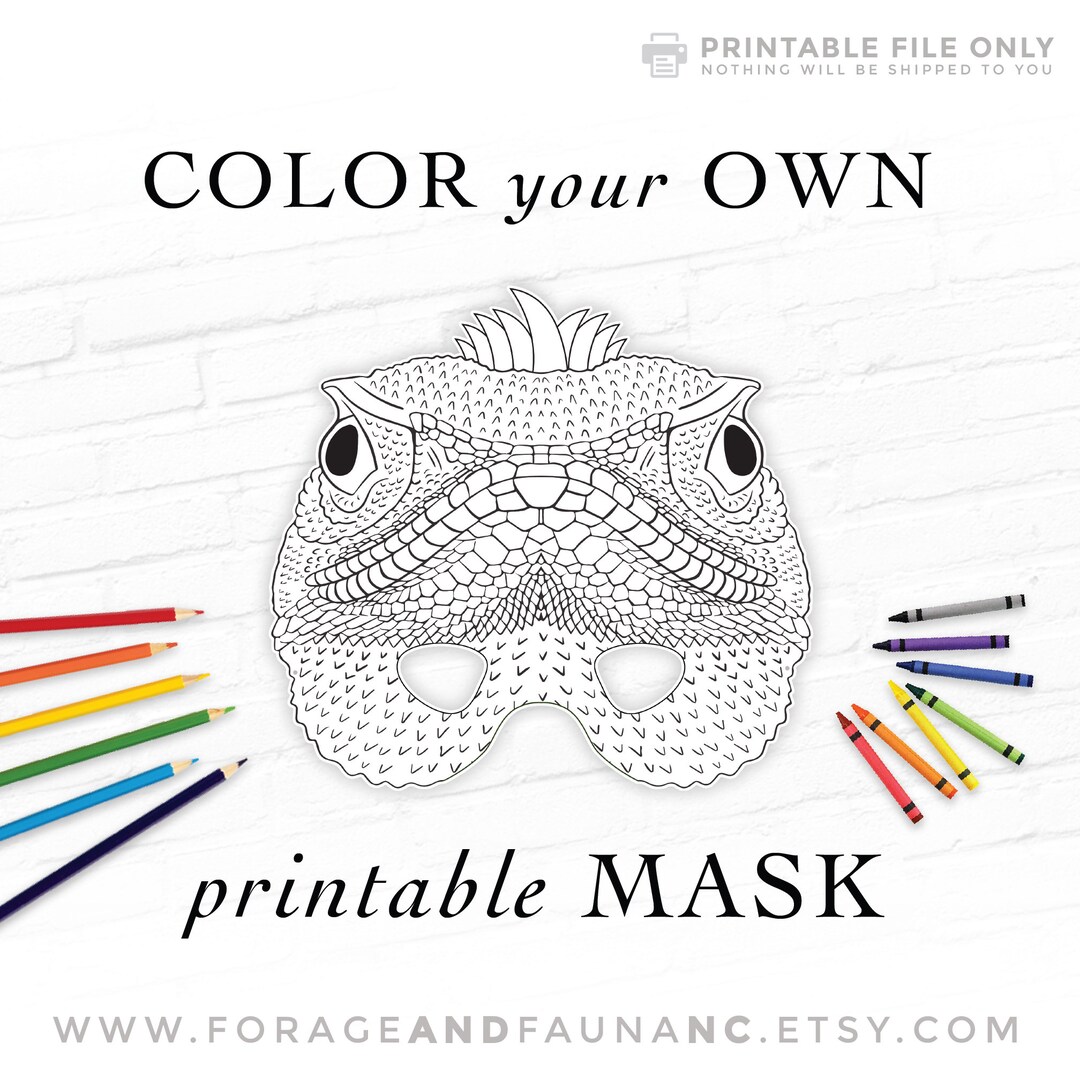 Iguana Coloring Mask Fun Giant Lizard Animal Mask Halloween Costume ...