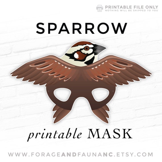 Bird Mask Template