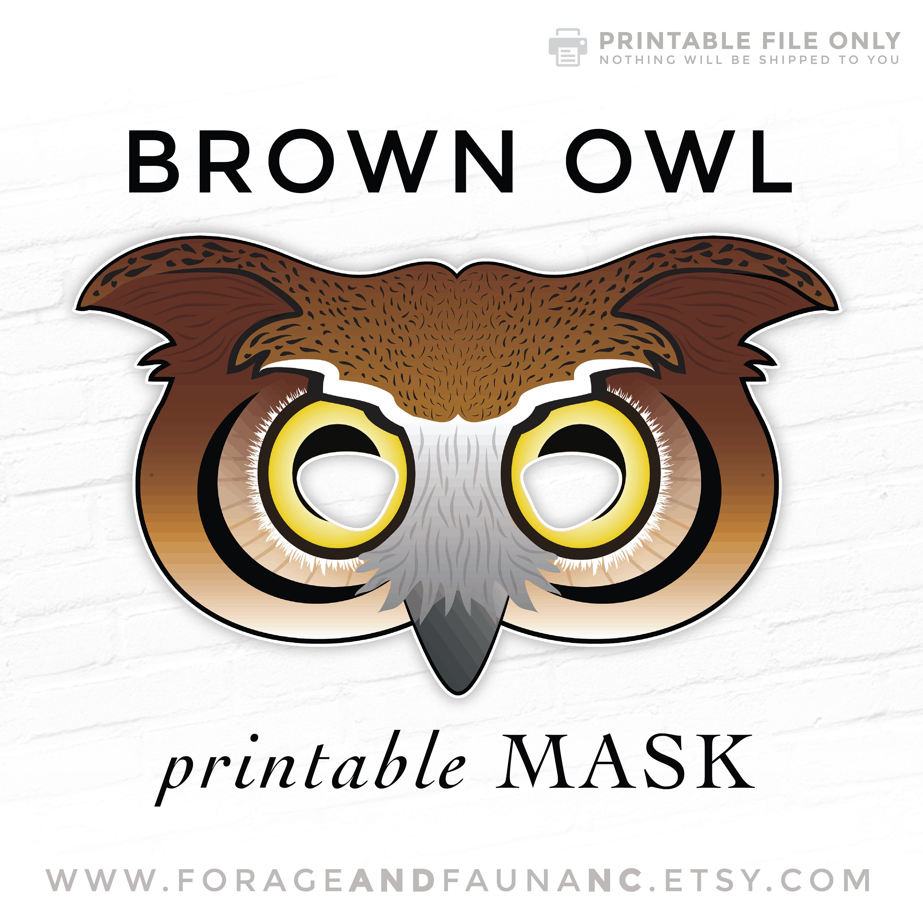 Owl Mask Template