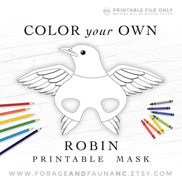 Robin Mask - Etsy