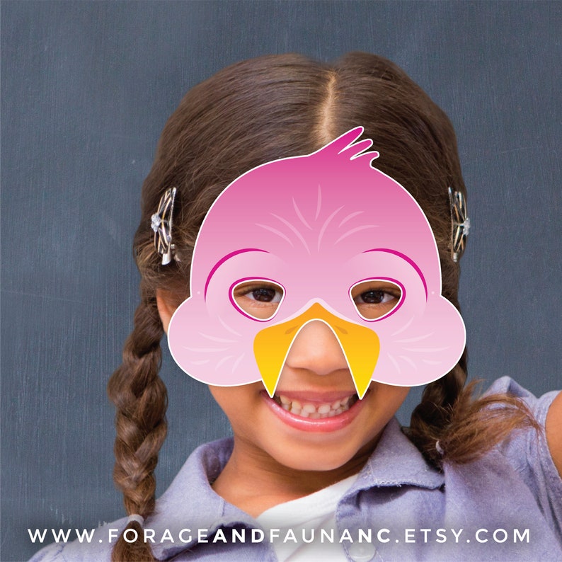 Pink Bird Printable Mask Costume Pink Headed Warbler Fruit Dove Finch ...
