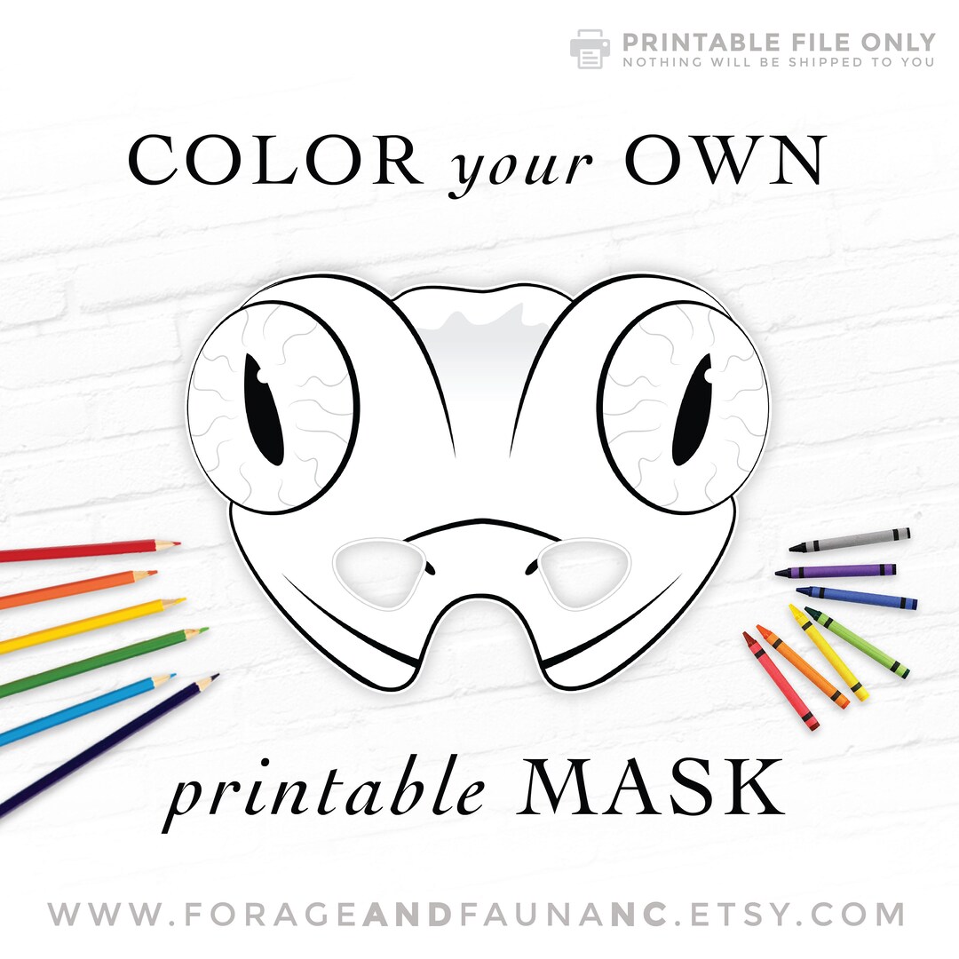 Gecko Coloring Mask Fun Lizard Animal Mask Halloween Costume Reptile ...