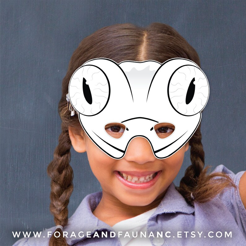 Gecko Coloring Mask Fun Lizard Animal Mask Halloween Costume Reptile ...