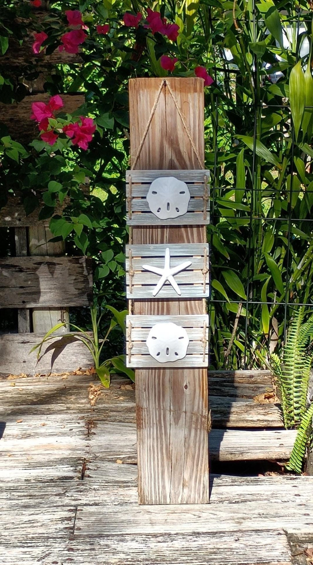 Sand Dollar & Starfish Hanging Beach Decor Coastal Hanging Sign Beach ...