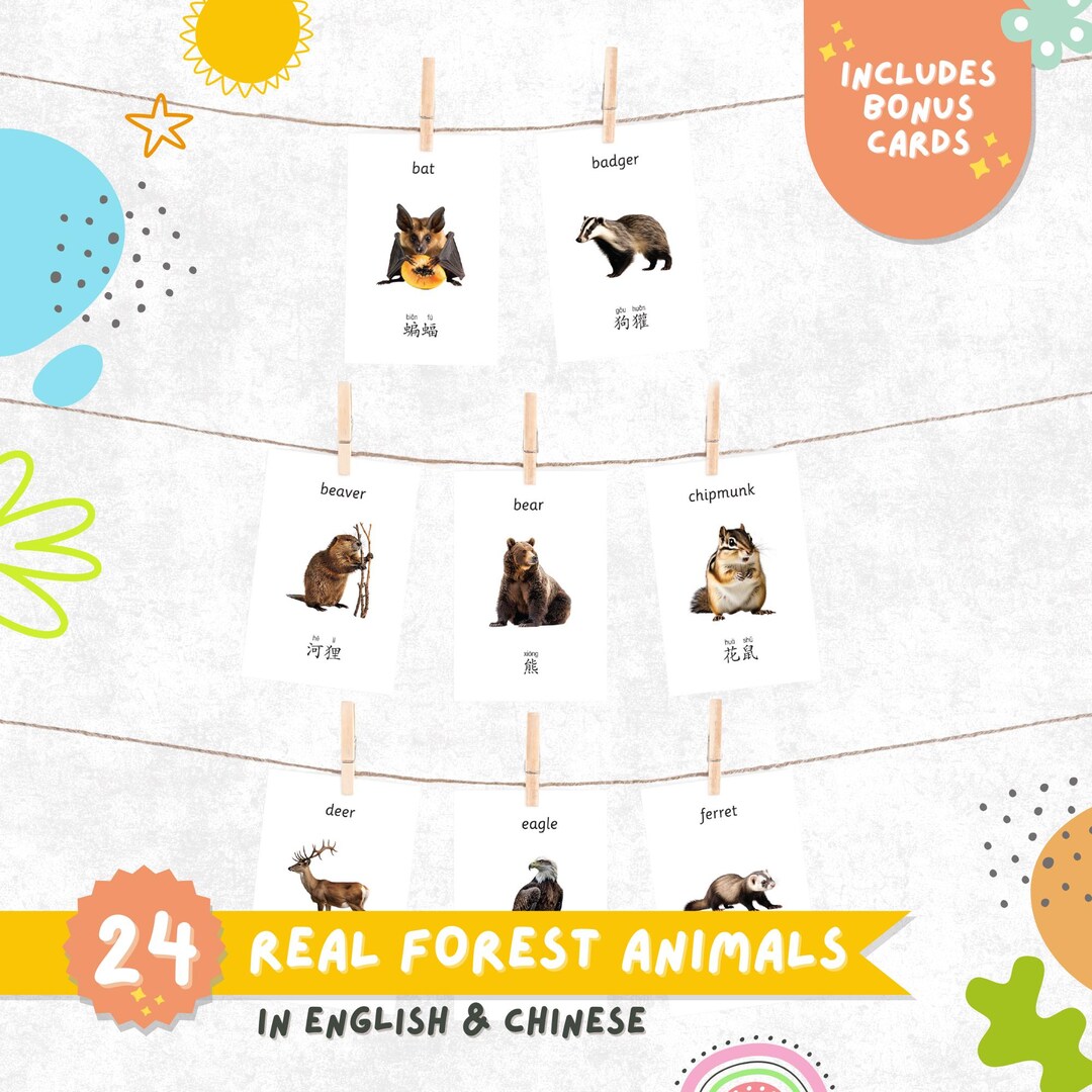 24 Forest Animals Flashcards English Chinese Woodland Montessori Cards ...