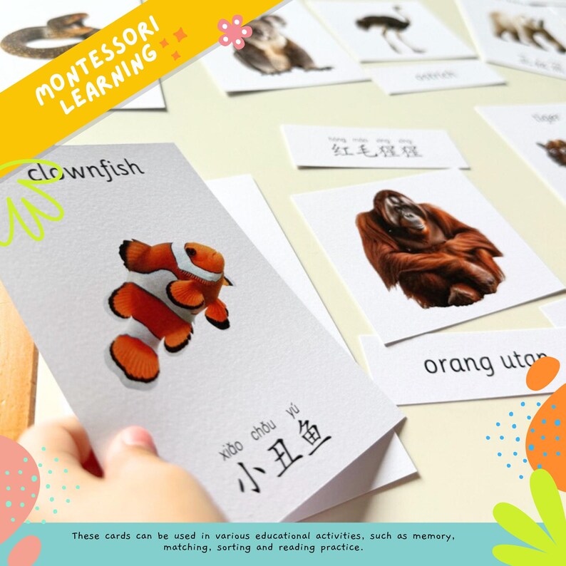 30 Farm Animals Flashcards English Chinese Child Montessori Cards Real ...