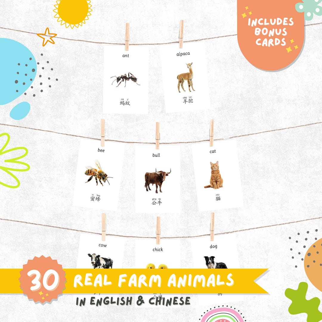 30 Farm Animals Flashcards English Chinese Child Montessori Cards Real ...