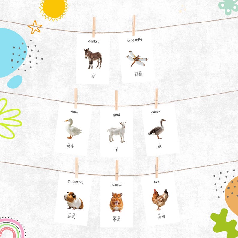30 Farm Animals Flashcards English Chinese Child Montessori Cards Real ...