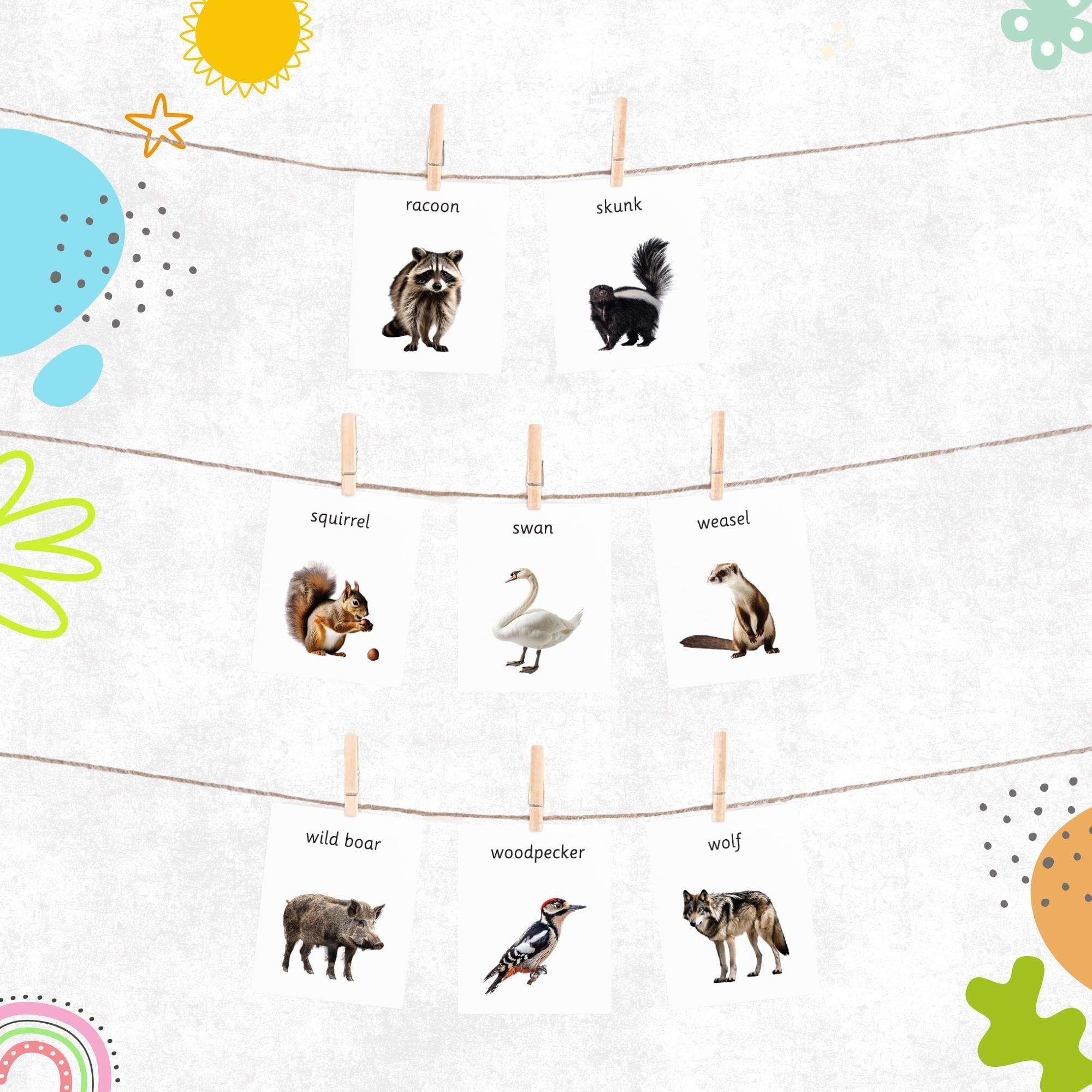 24 Forest Animals Flashcards Woodland Montessori Cards Toddler Learning ...