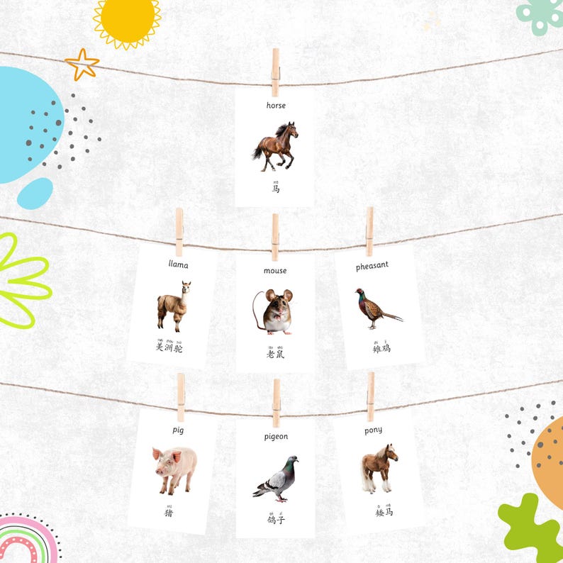30 Farm Animals Flashcards English Chinese Child Montessori Cards Real ...