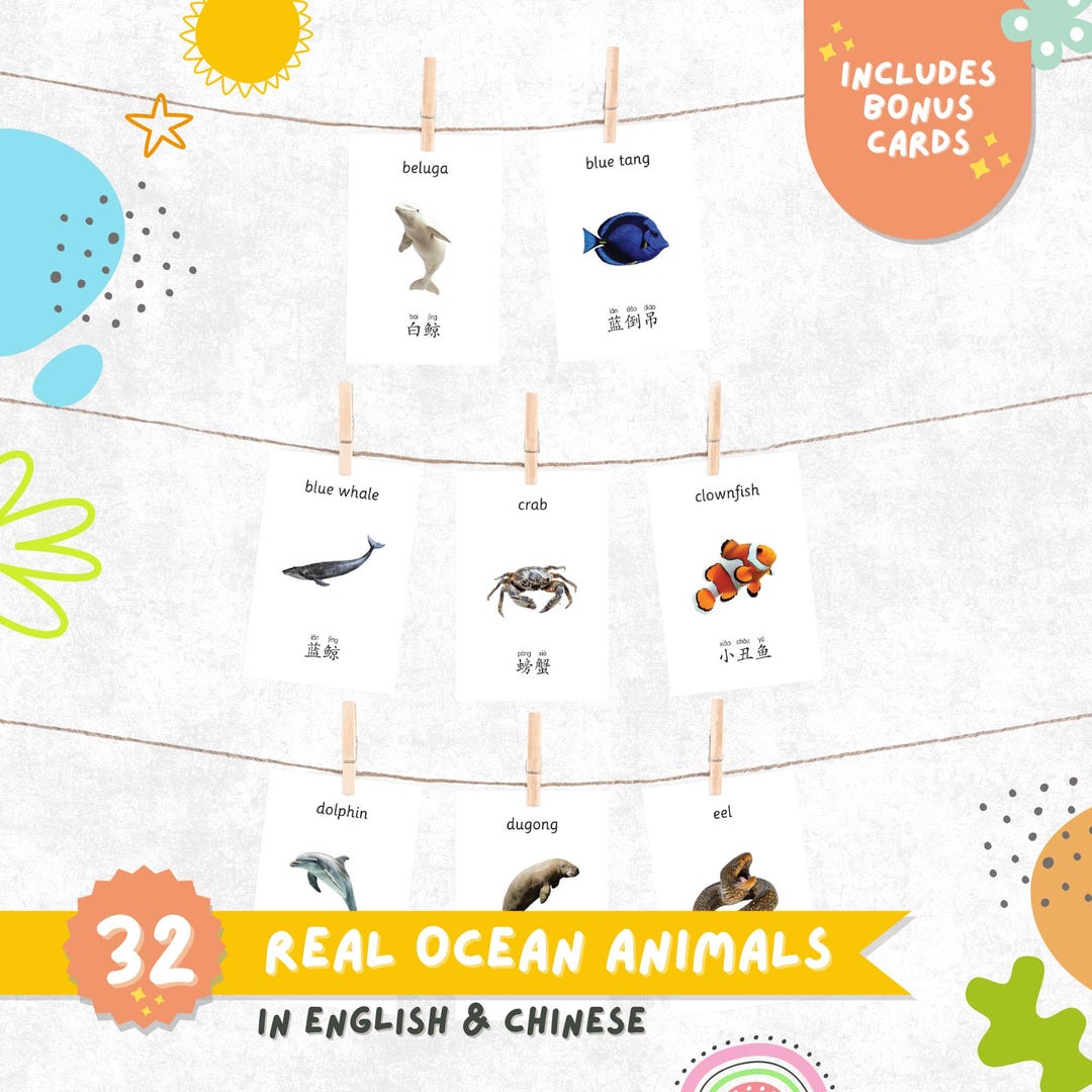32 Ocean Flashcards Sea Animals English Chinese Montessori Cards ...