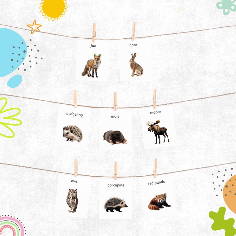 24 Forest Animals Flashcards Woodland Montessori Cards Toddler Learning ...