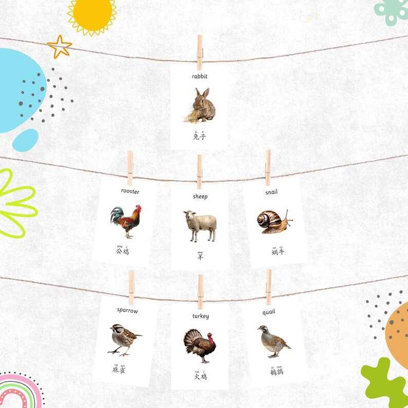 30 Farm Animals Flashcards English Chinese Child Montessori Cards Real ...