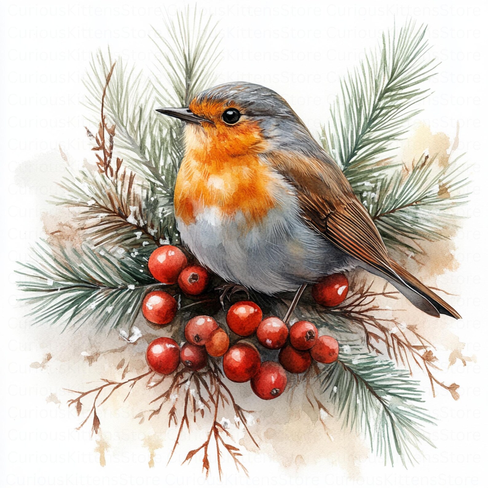 Christmas Robin Clipart Festive Winter Bird Jpg Digital Download ...