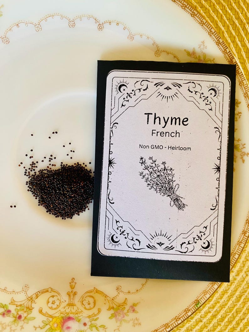 French Thyme Seeds - Non GMO, Heirloom - Etsy
