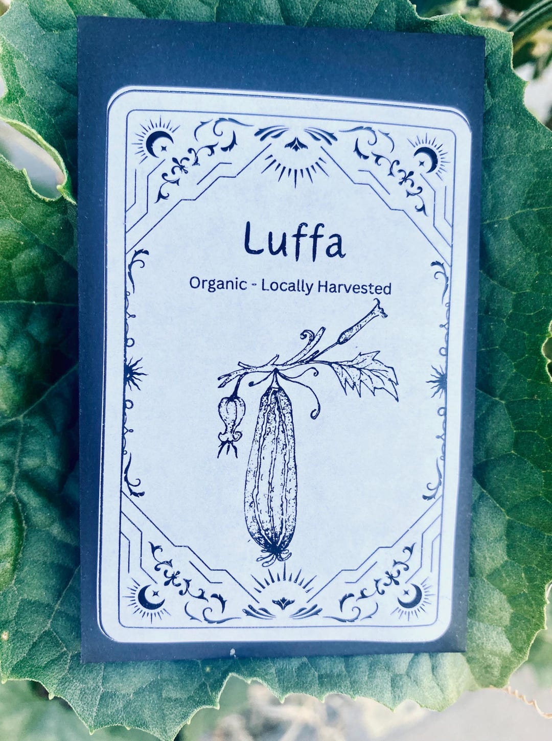 Organic Luffa Seed Packet - Etsy