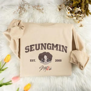 Embroidered Stray Kids Member Sweatshirt, SKZ Characters Hoodie, Stray ...