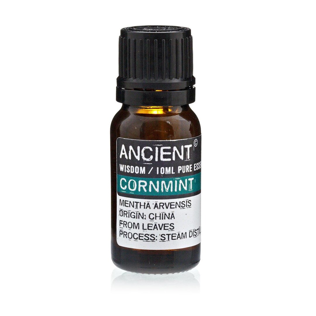Cornmint Essence Oil 10ml - Etsy