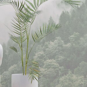 Scenic Fir Tree Wall Mural, Removable or Non-pasted Wallpaper Mural ...