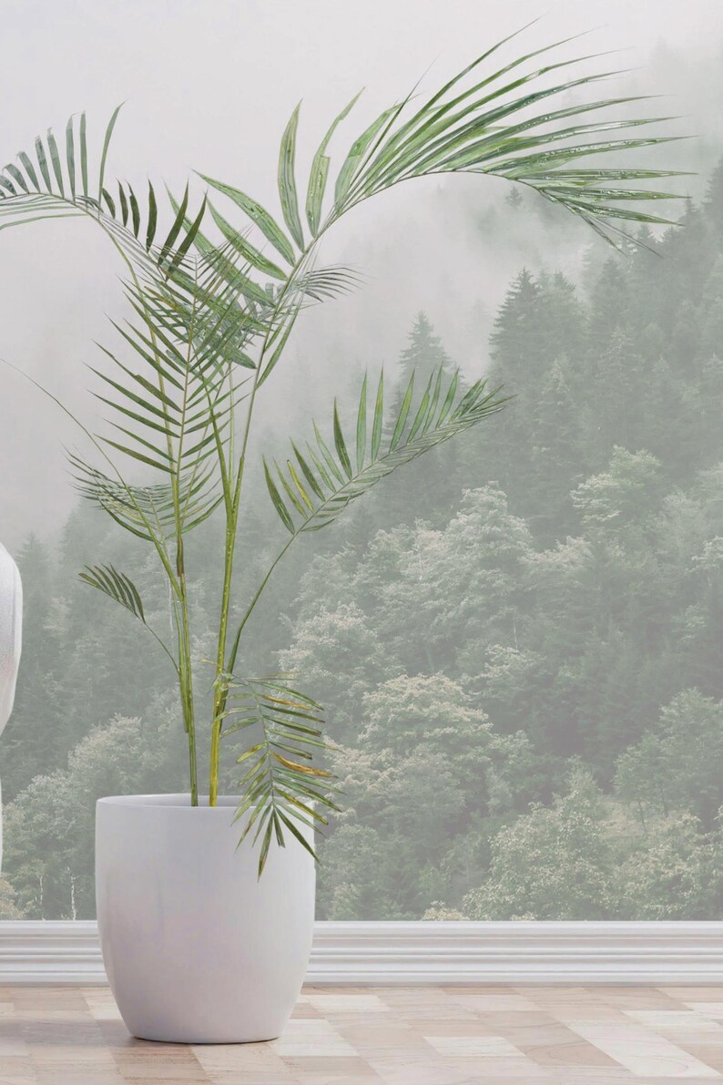 Scenic Fir Tree Wall Mural, Removable or Non-pasted Wallpaper Mural ...