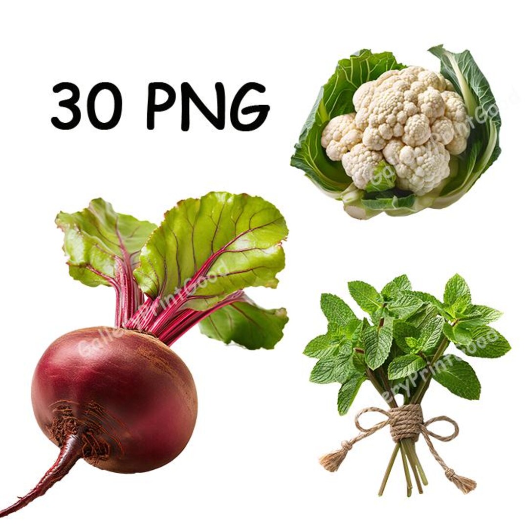 Fresh Vegetable Clipart Set: 30 PNG Illustrations (digital Download) - Etsy