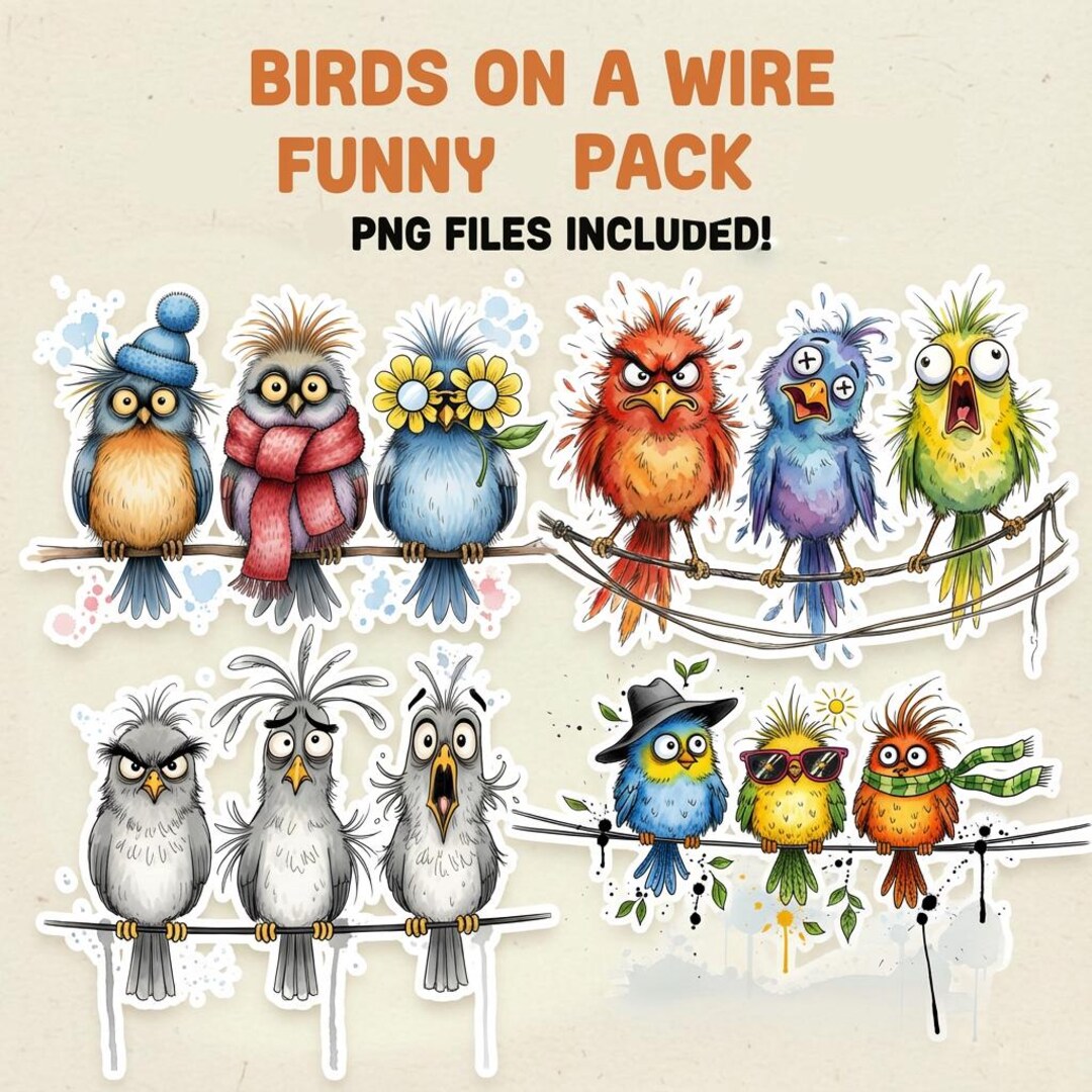 14 PNG, Funny Birds on a Wire Clipart Bundle, Grumpy Bird PNG Sticker ...