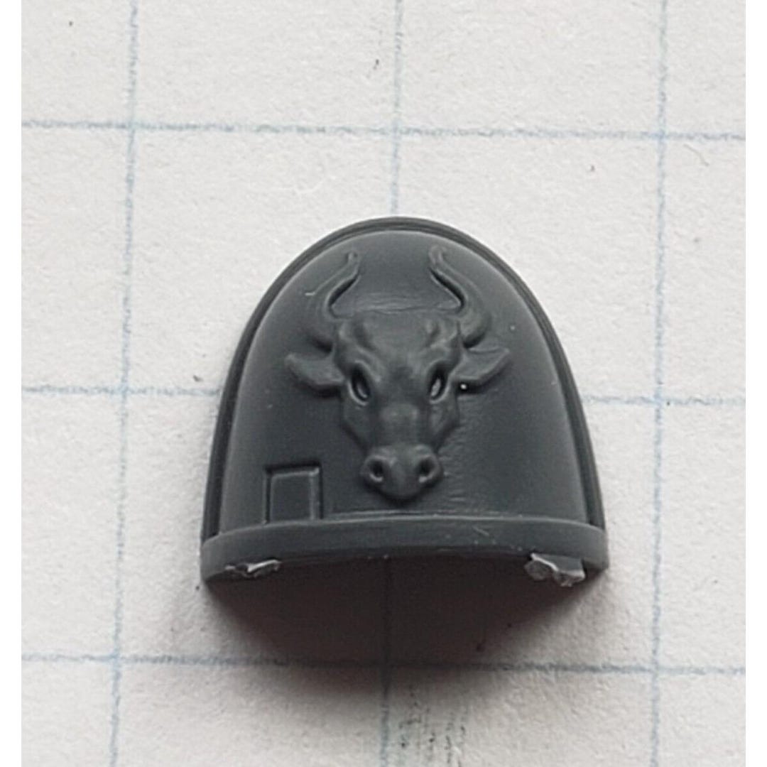 Warhammer 40k Space Marine Bits Deathwatch Veterans Shoulder Pad ...