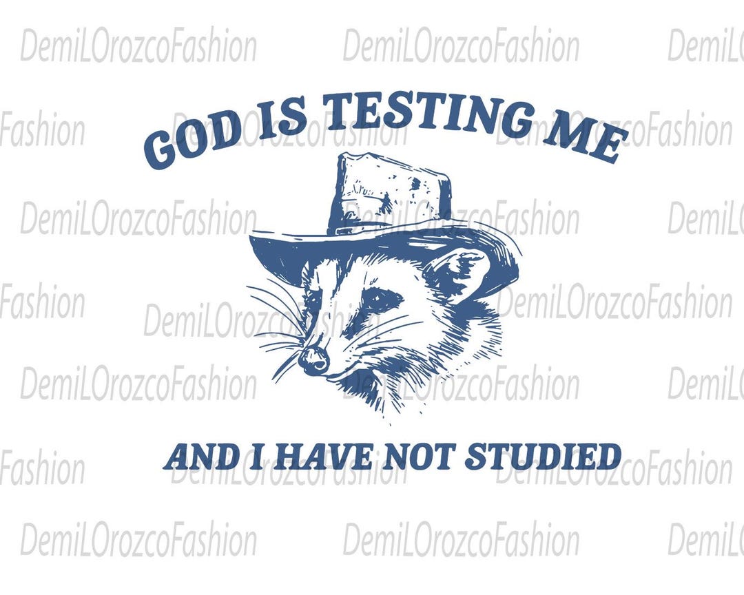 God is Testing Me Funny Png , Possum Png , Meme Png , Raccoon Meme Png ...
