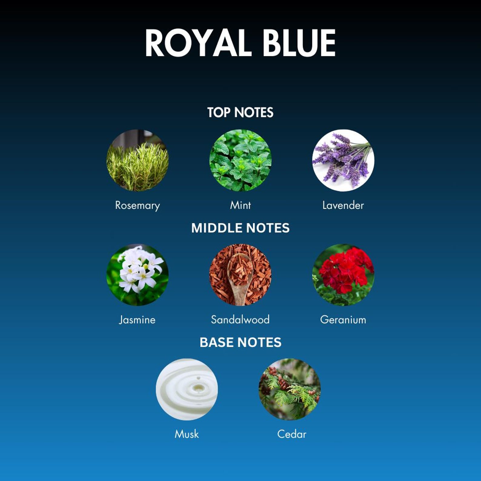 Royal Blue Perfume Oil Fragrance - Etsy