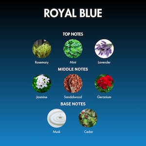 Royal Blue Perfume Oil Fragrance - Etsy