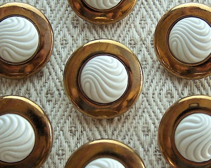 7 Aphrodite SEASHELL CLAM Motif Golden Rims LOVELY BUTTONS - Etsy