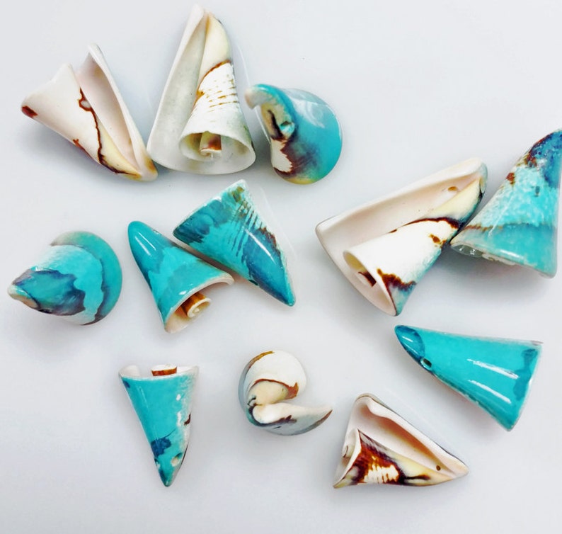 Turquoise Dyed Spiral Horn Shell Beads GM408 - Etsy