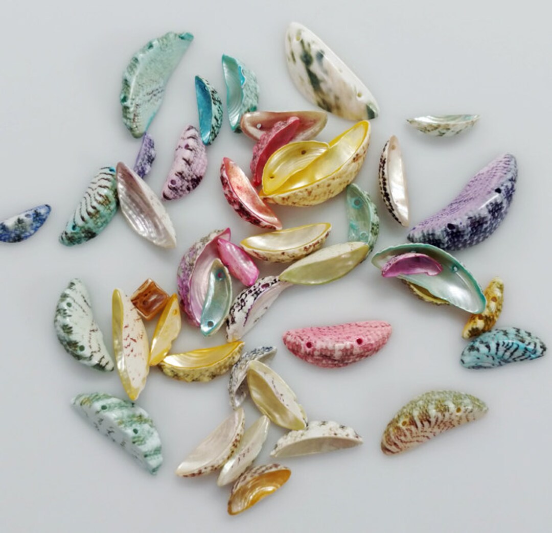 Shell Beads Double Drilled Half Moon Beads Mixed Color Dyed GM403 - Etsy