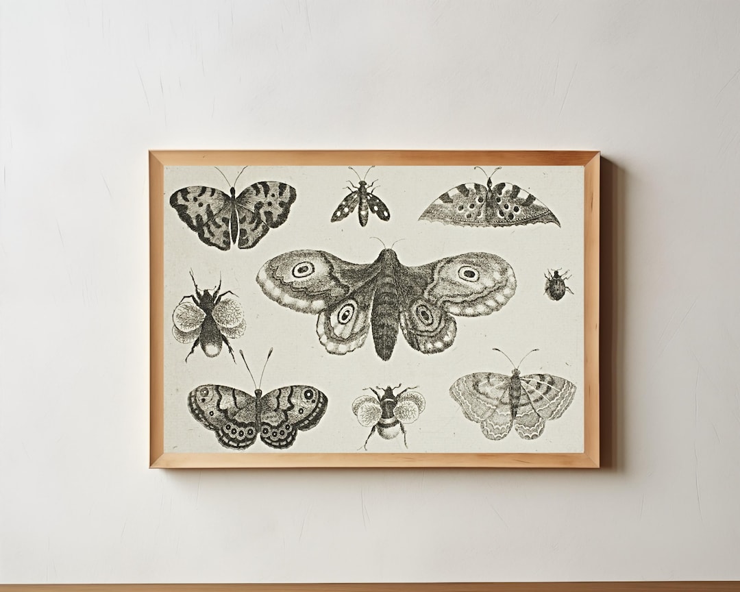Vintage Wall Art Insect Art Print for Nursery Art Print Butterfly ...
