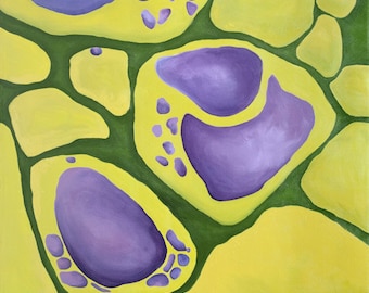 Plant Cell Cycle Mitosis Phase Cells Structure Biology Diagram Art ...